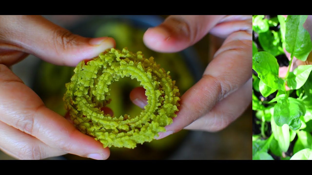 Palak Chakli with home grown palak! Flower chakli & kodbale with the ...