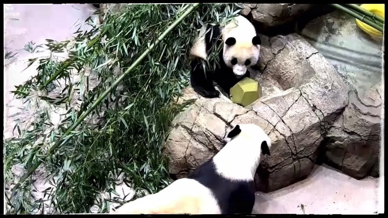 later that day - YouTube