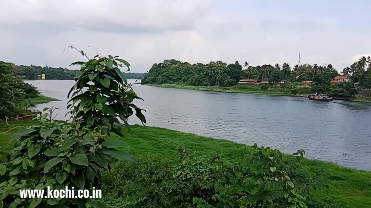 85 cents waterfront land near Kochi Airport for sale | Riverfront land ...