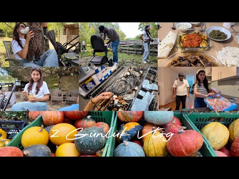 EV BAKIYORUZ YİNE YENİDEN🤭VİYANA ÇİFTLİK🌾HOFER TURU🛒2 GÜNLÜK VLOG🏡