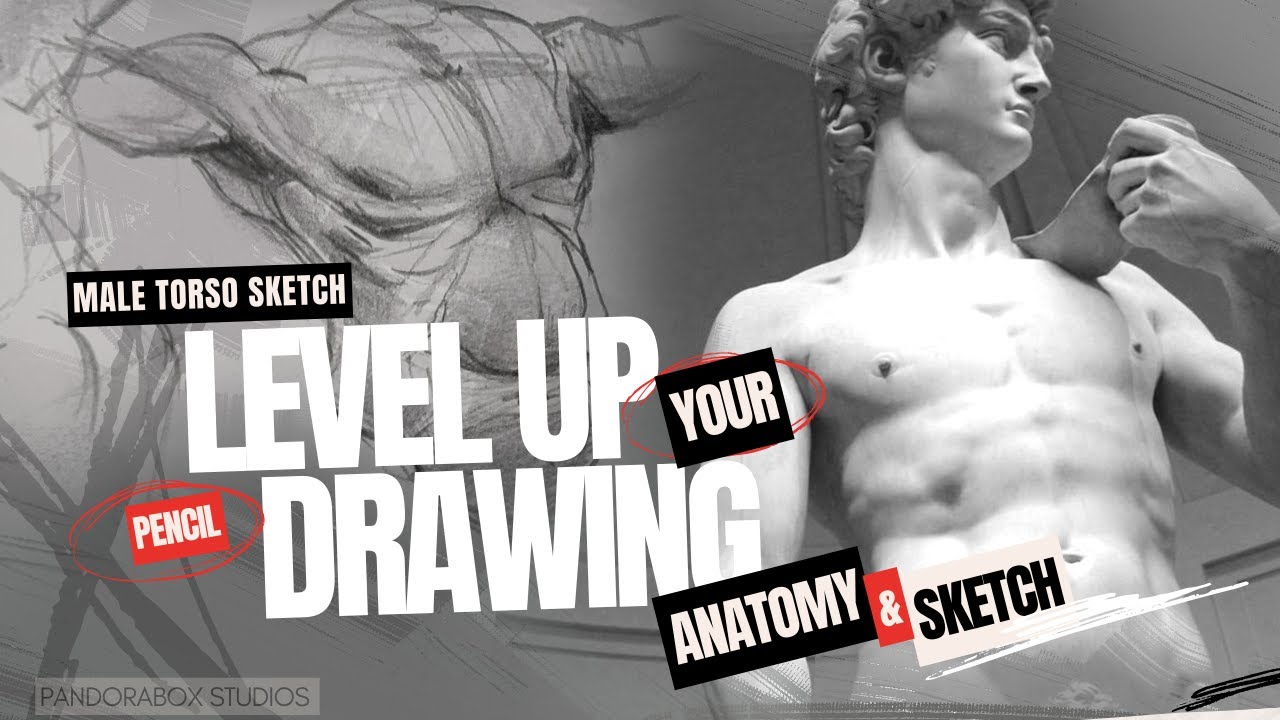 Perfecting Torso ANATOMY for Superhero Drawings Like a Pro! - YouTube