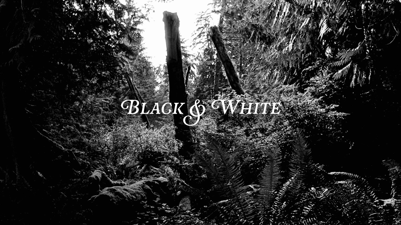 Yellow Green Filter + Black & White Film | Ilford HP5 | Nikon F2 - YouTube