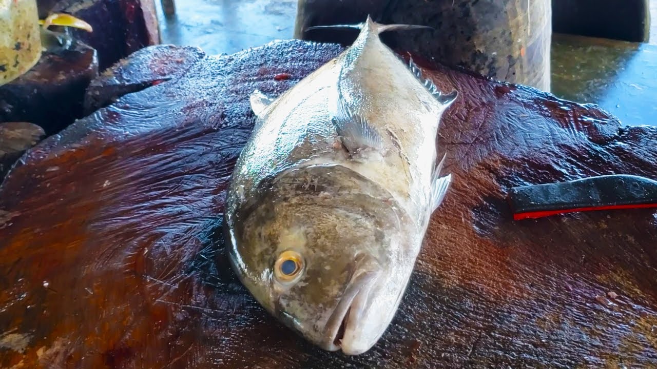 Giant Trevally Fish Cutting | Fish Cutting Experts - YouTube