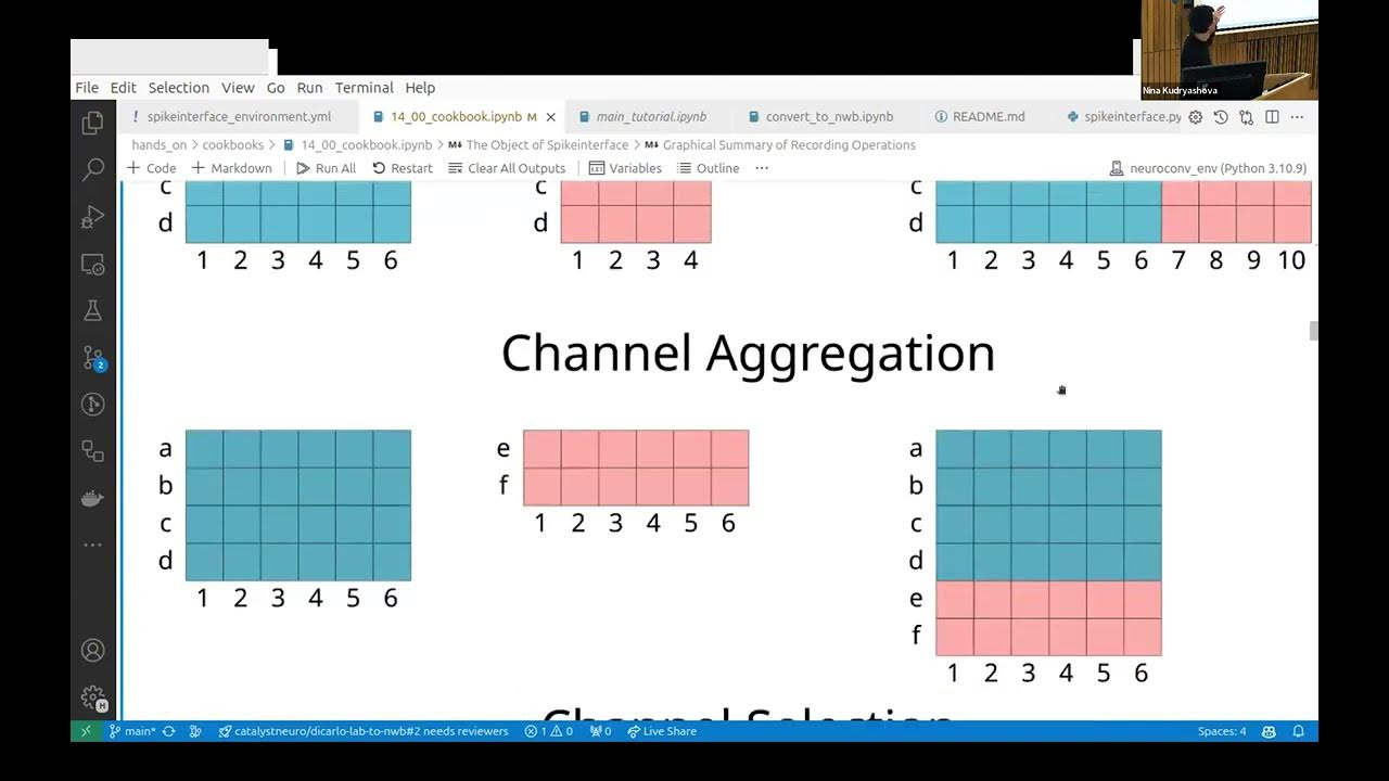 Guided Spikeinterface Hands On Youtube