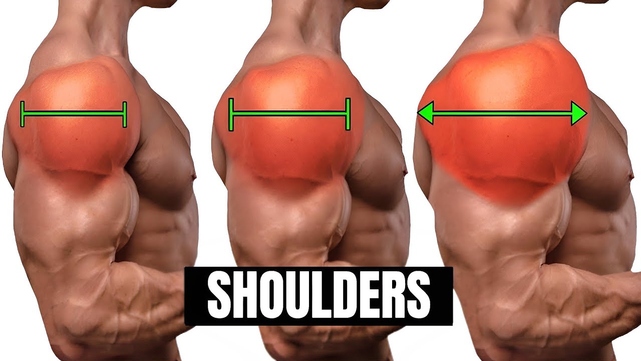 Proven Dumbbells Shoulder Exercises for Muscle Growth - YouTube