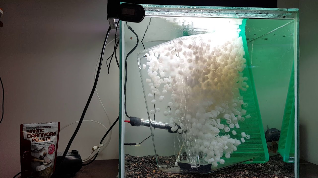 New fish and I tiled the tank - YouTube