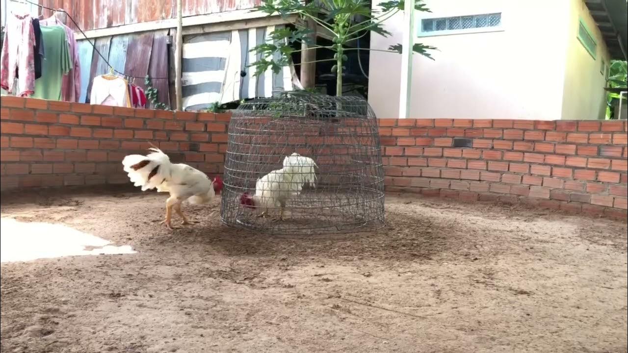 Fb Phirun Heang - YouTube