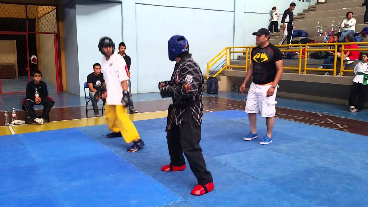 Combate de Point Fighting Reglamento WAKO, 9° Torneo Nacional de Artes ...