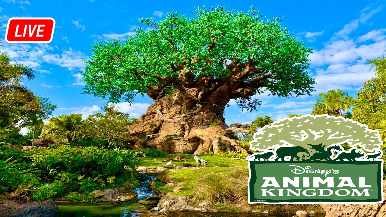🔴 LIVE from Disney’s Animal Kingdom! Rides, Animals & Shows! 🔴 - YouTube