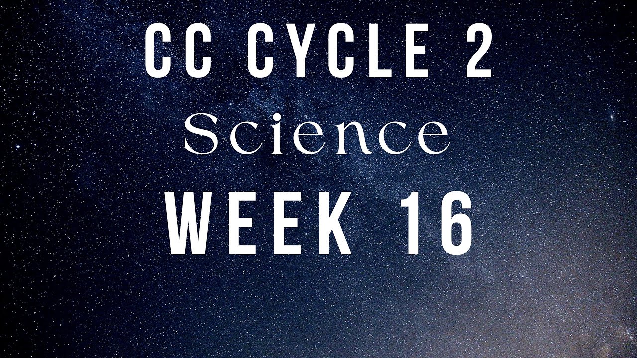 CC Cycle 2, Week 16 Science Song & hand motions, Newton’s First Law of ...
