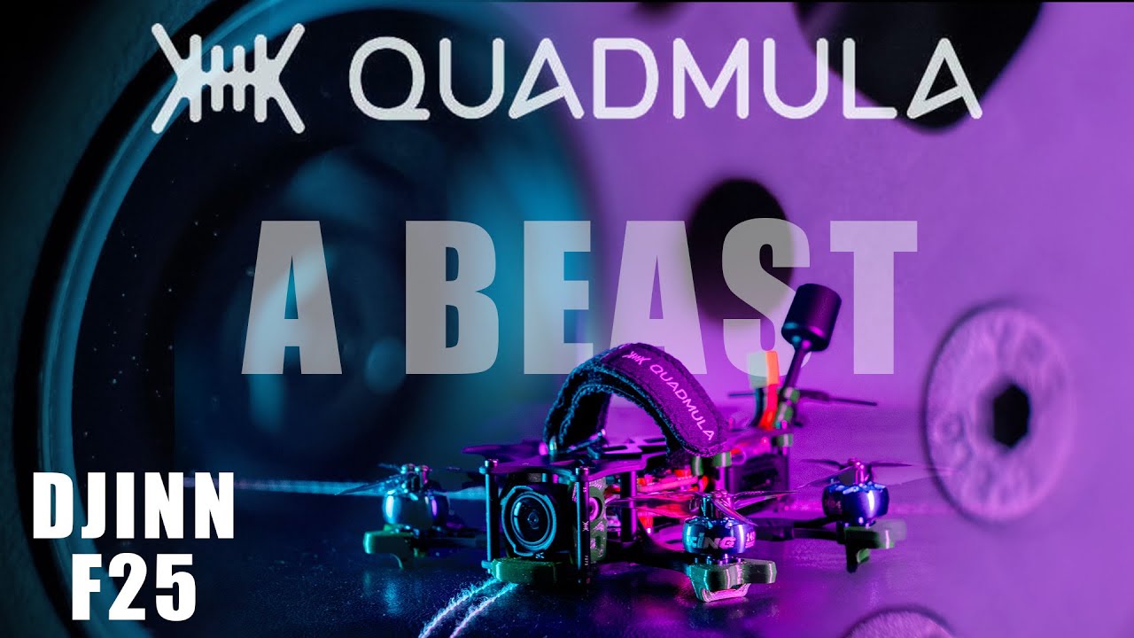 QUADMULA DJINN F25 - the ultimate sub250 Ripper / First impressions ...