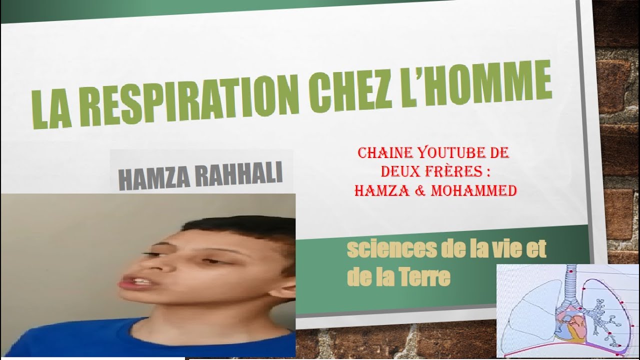 la respiration chez l homme - YouTube