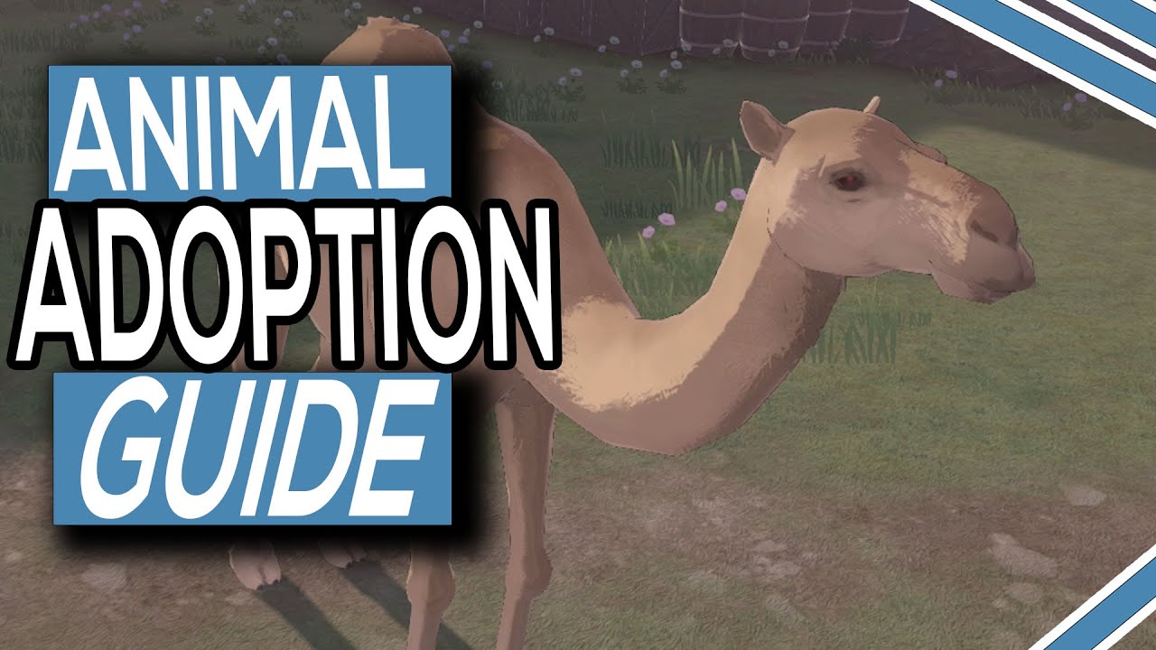 Fire Emblem Engage Animal Adoption Guide - YouTube