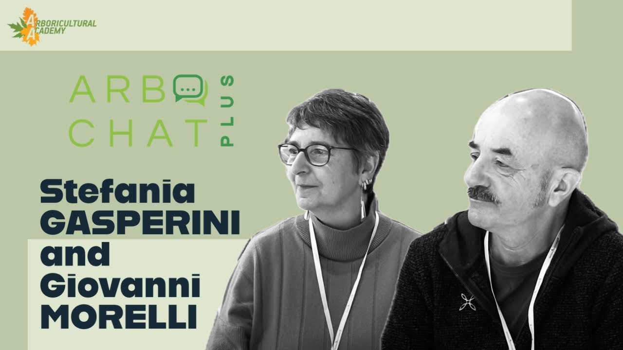 ArboChat Plus / Stefania Gasperini & Giovanni Morelli / Praha / 2024 ...