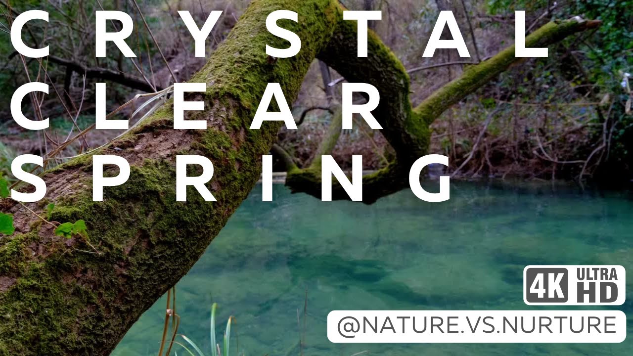 Crystal Clear Spring Nature Sounds | Nature Ambience for Studying ...