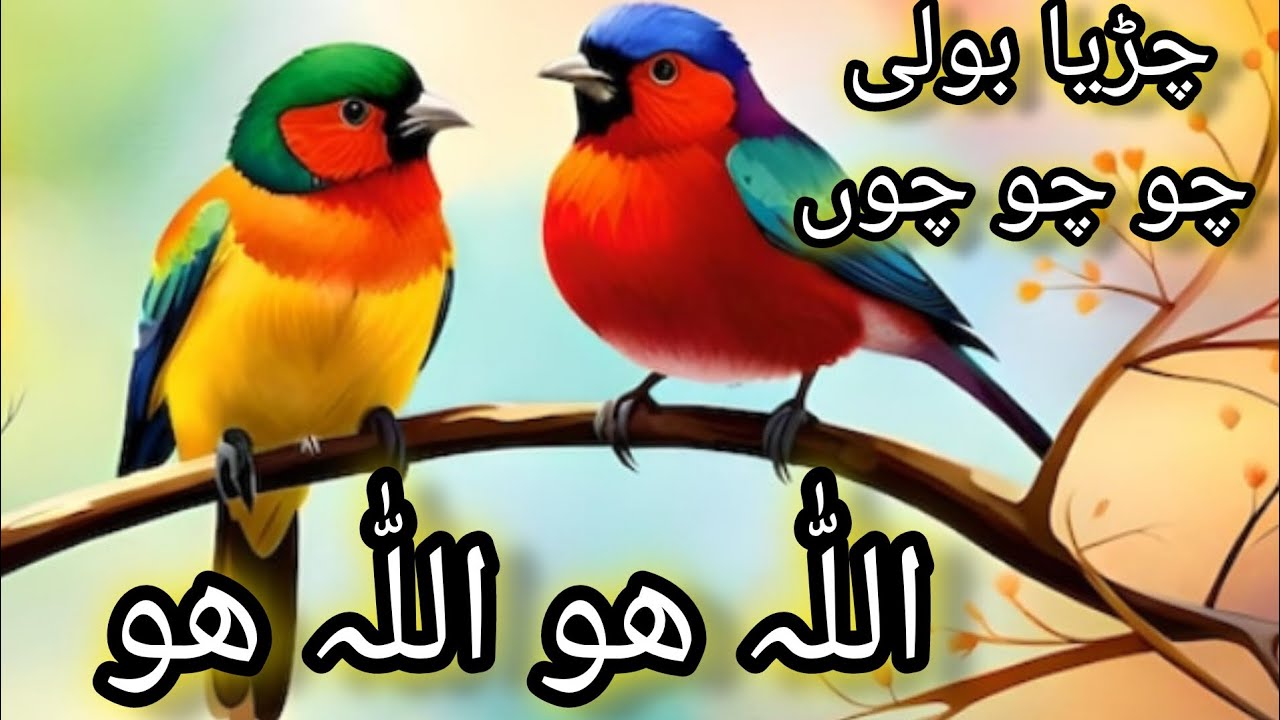 Chirya boli chu chu | Allah Hoo Allah Hoo | Islamic poem | Islamic ...