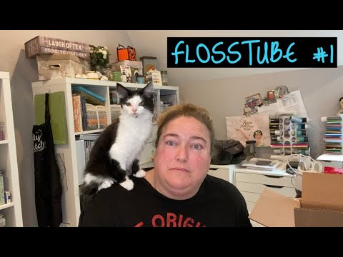 Flosstube #1 - The One Where I have a Kitten Parrot (Skeeter Ray) - YouTube