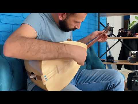 Yürüyorum Dikenlerin Üstünde | Ali Aksöz