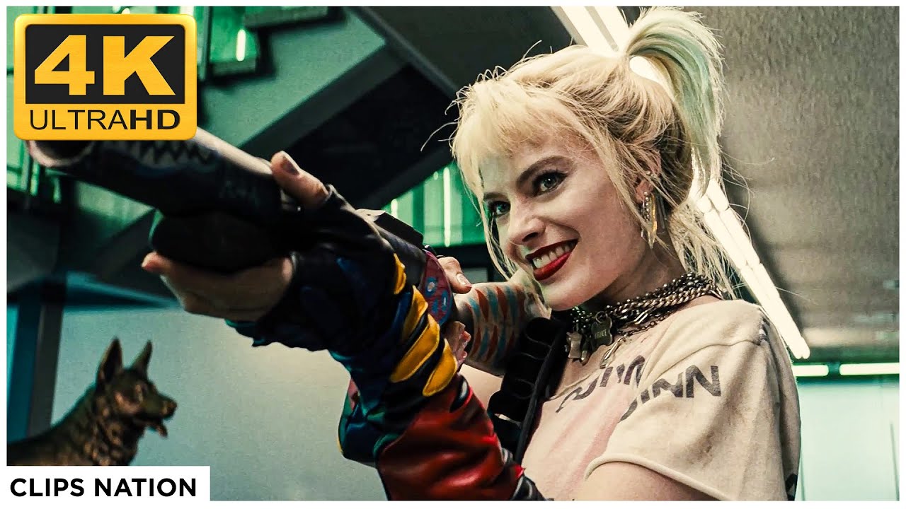 Birds of Prey | Harley Quinn vs Cops & Prisoners | Police Station Fight ...