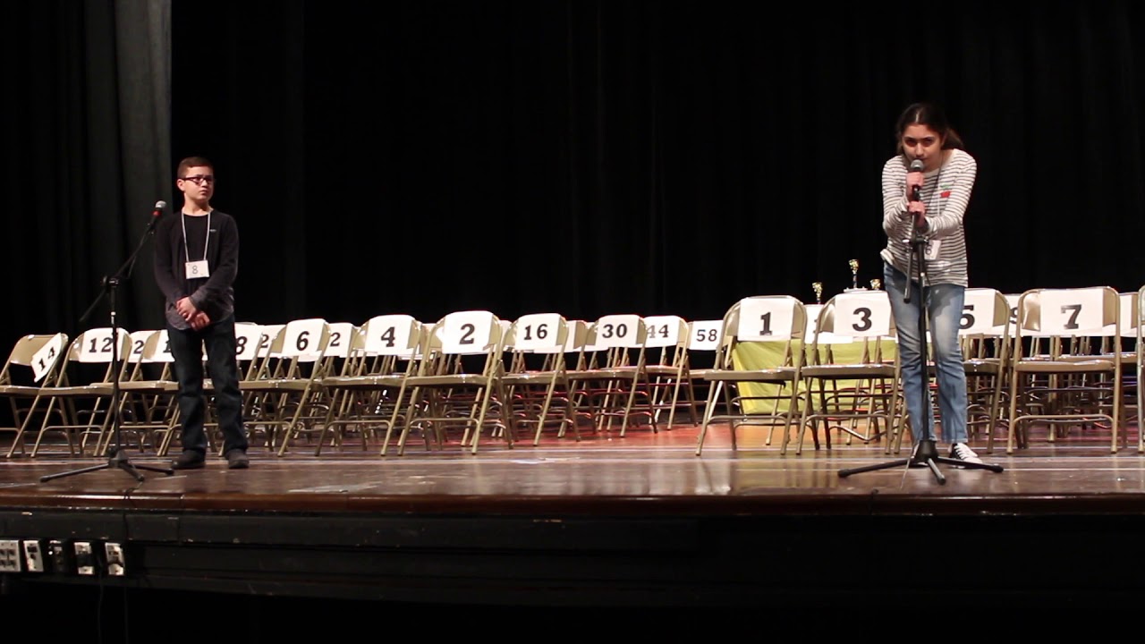 District 31 Spelling Bee at Michael J. Petrides School - YouTube