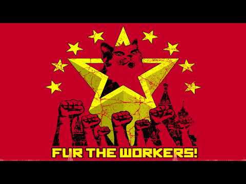 CiciKedi - Polyushka Polye