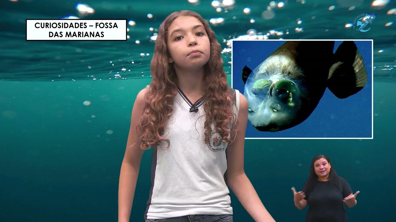 FOSSA DAS MARIANAS - DICAS E CURIOSIDADES #3 - YouTube