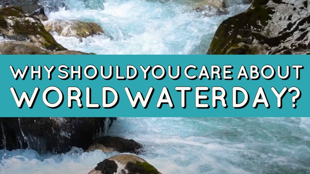 Why Should You Care About World Water Day? - YouTube