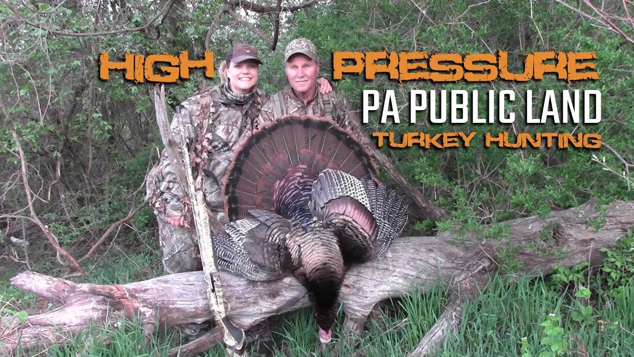 High Pressure PA Public Land Turkey Hunting - YouTube