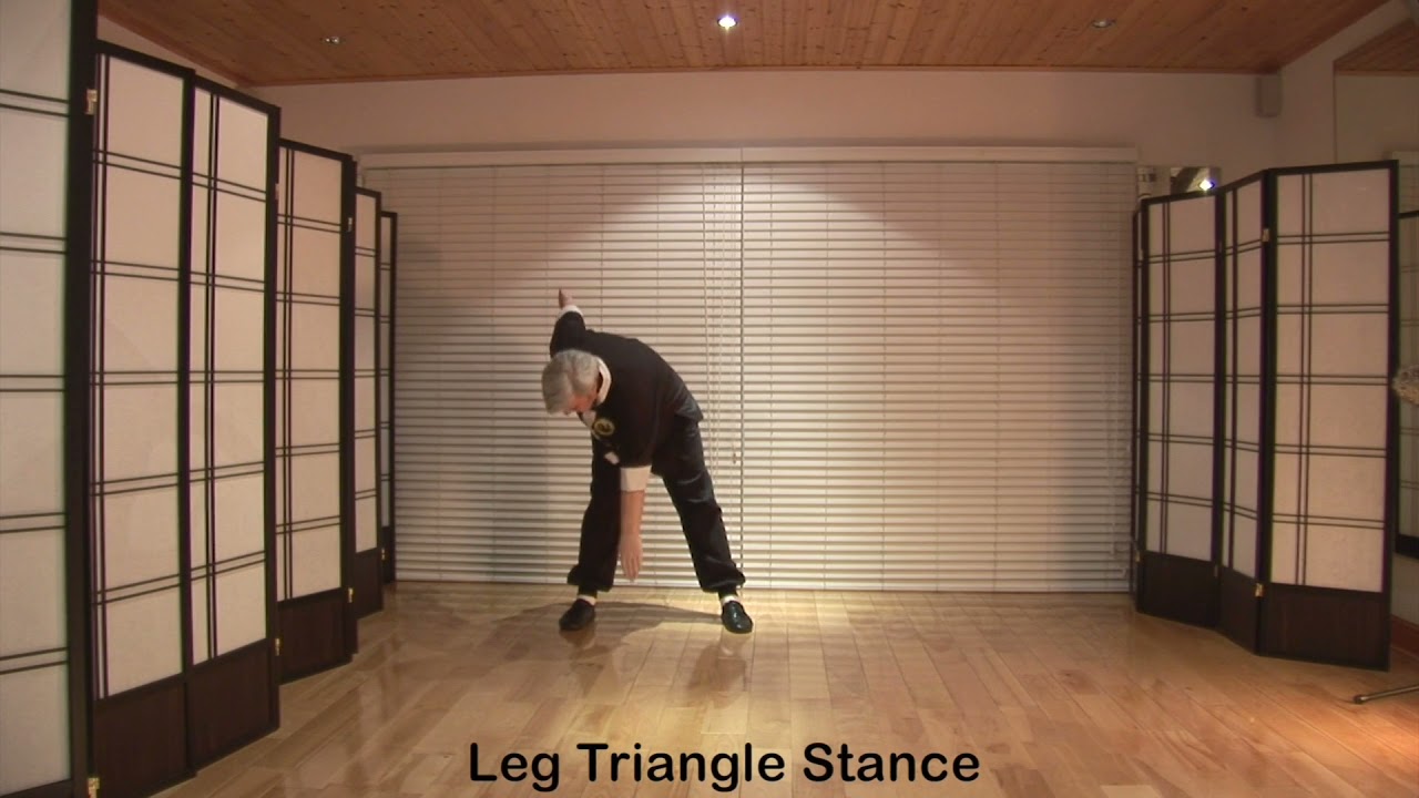 Lee Style Tai Chi - YouTube