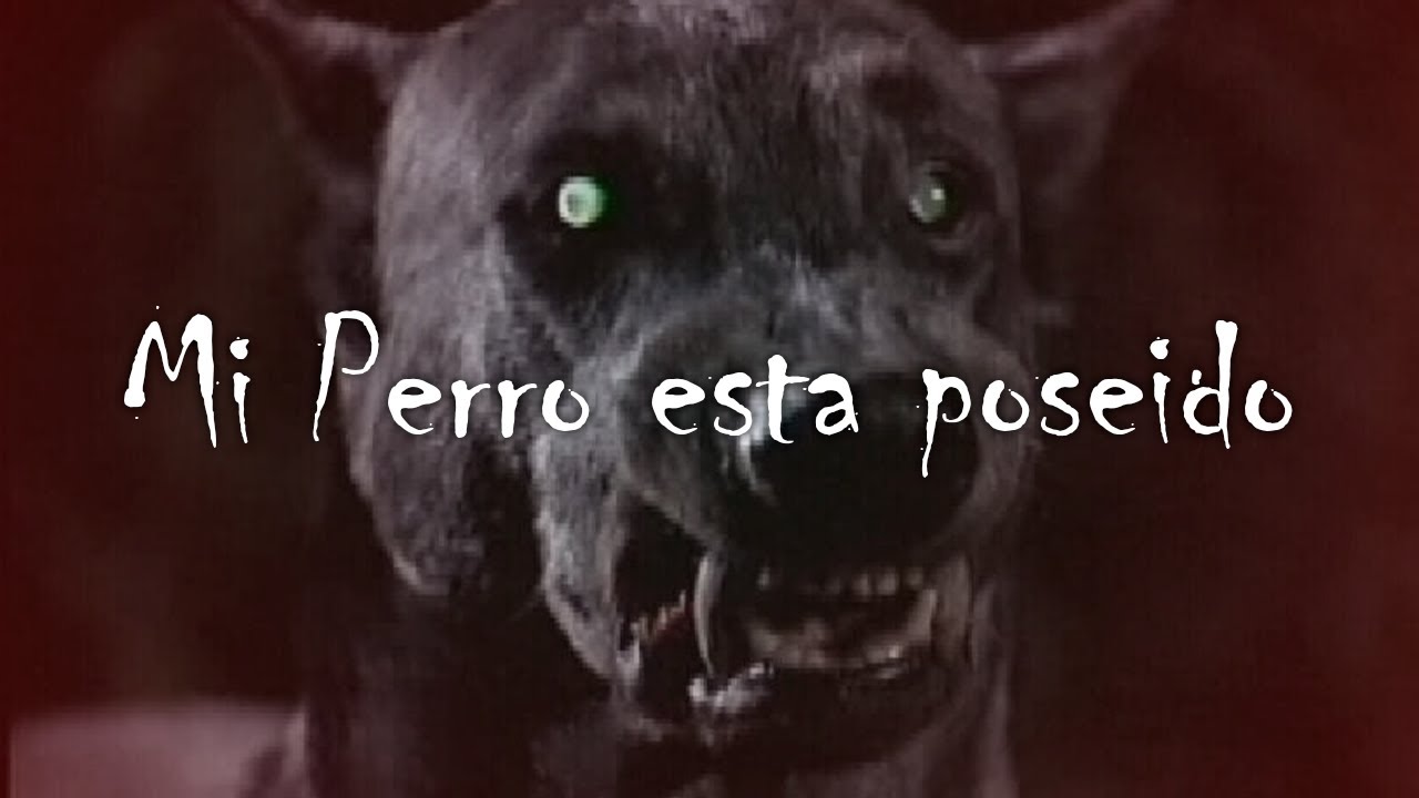 MI PERRO ESTA POSEIDO (Creepypasta) - YouTube