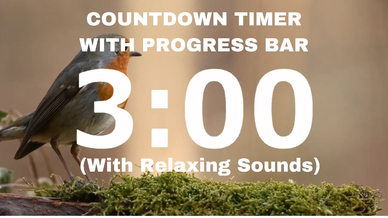 3 MINUTE COUNTDOWN TIMER WITH RELAXING MUSIC AND PROGRESS BAR - YouTube