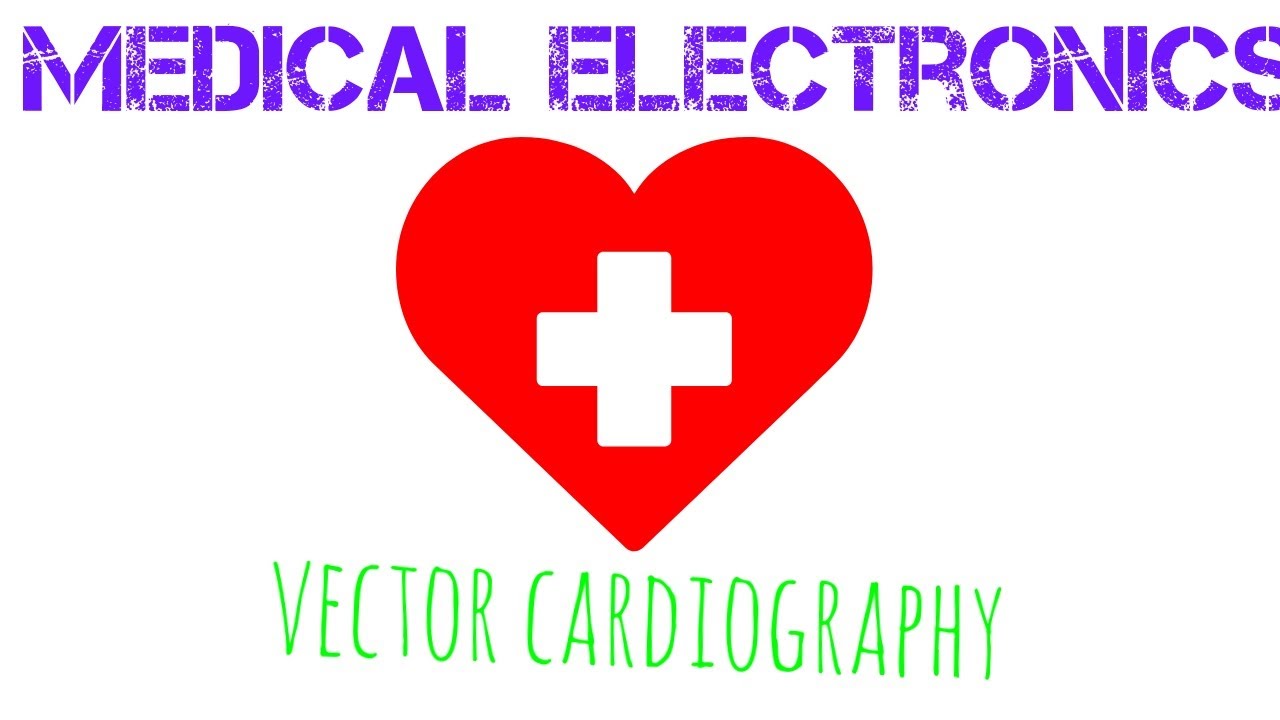 Vector cardiography - YouTube
