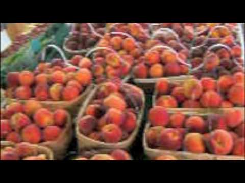 Peach Park - Clanton, Al - YouTube