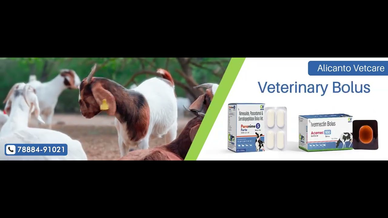 Veterinary Franchise Company | Veterinary Products Franchise | Animal ...