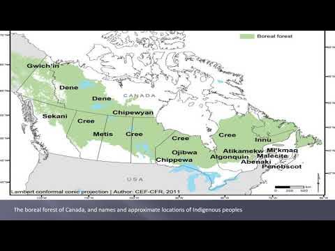 Indigenous medicines in Canada - YouTube
