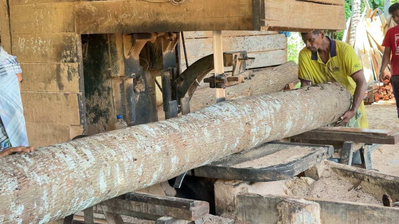 Mastering Efficiency in Wood Sawmill Pro Operator Tips - YouTube