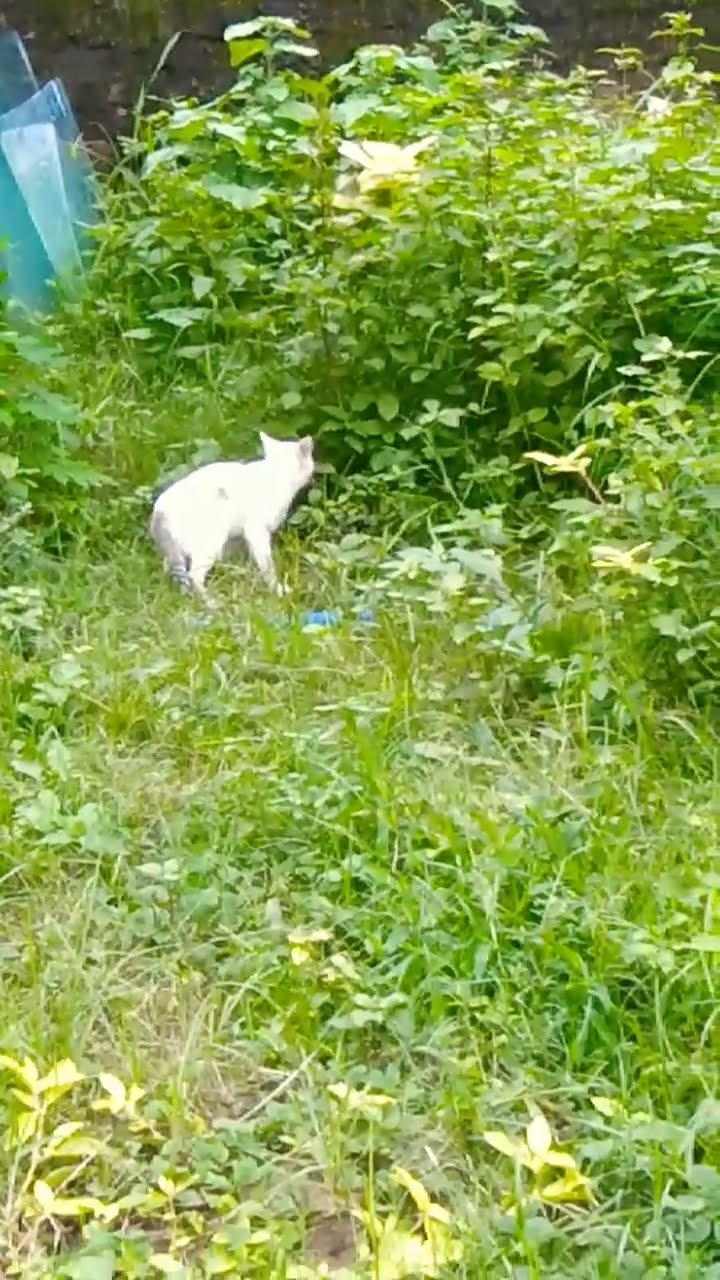 😂😂😂😂😂 - YouTube