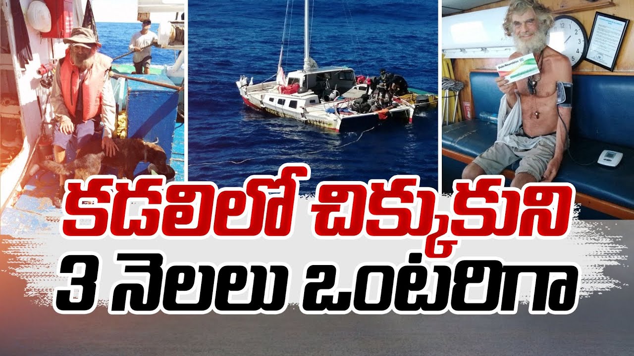 Australian Sailor & His Dog Rescued Off Coast Of Mexico | After Three ...