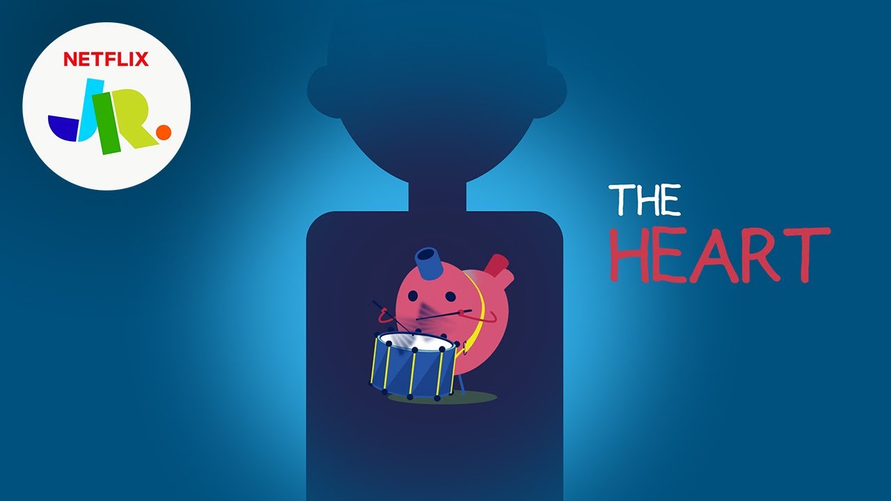 What is a Heart? ️ StoryBots: The Human Body for Kids | Netflix Jr ...