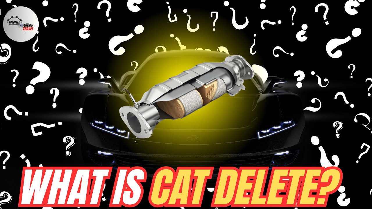 Cat delete - YouTube