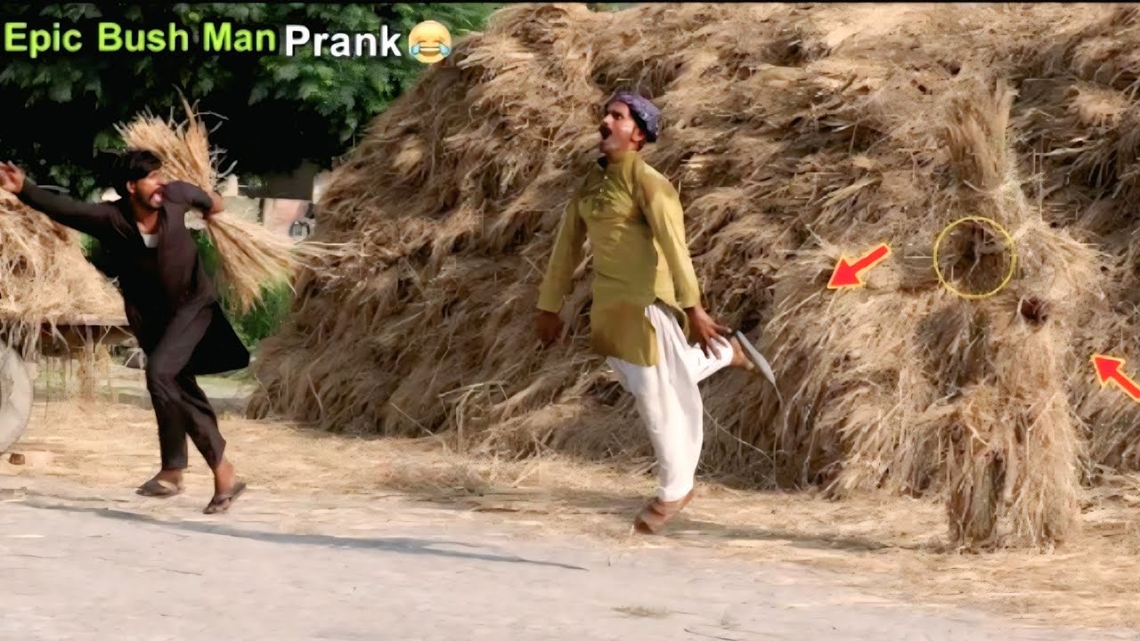 Epic bush man prank 🤣🤣 - YouTube