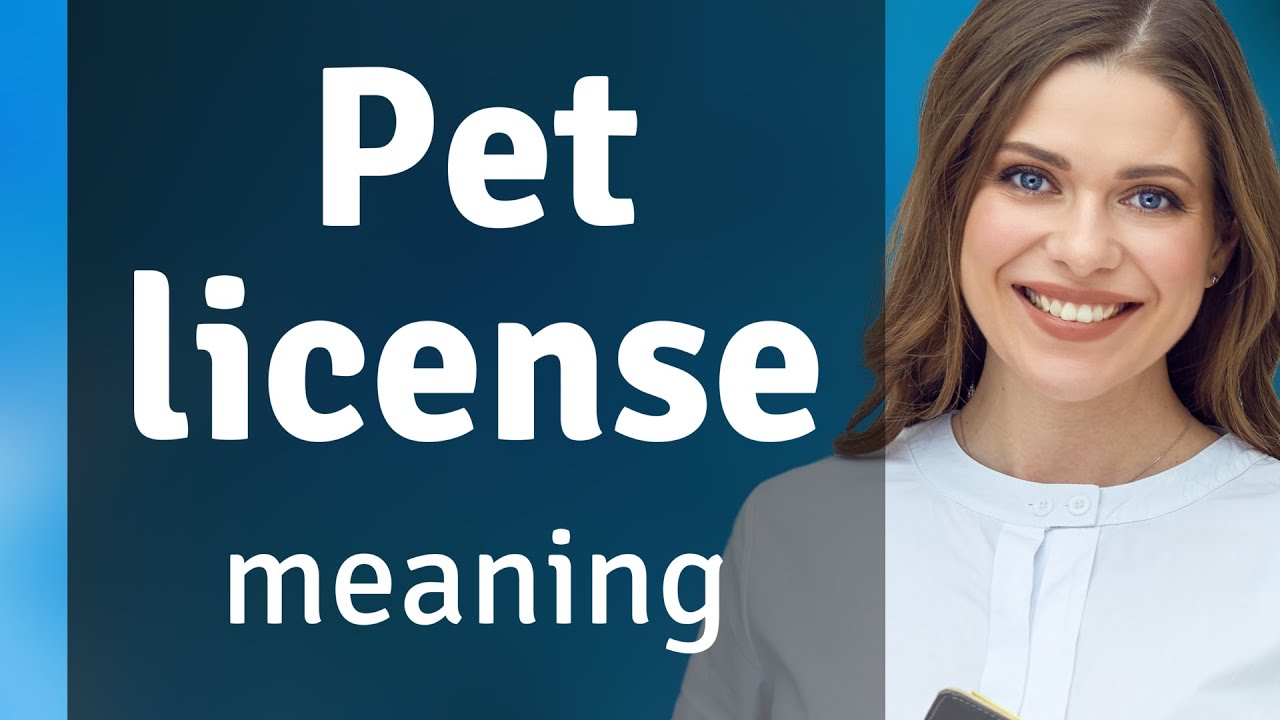 Understanding "Pet License": A Guide for English Learners - YouTube