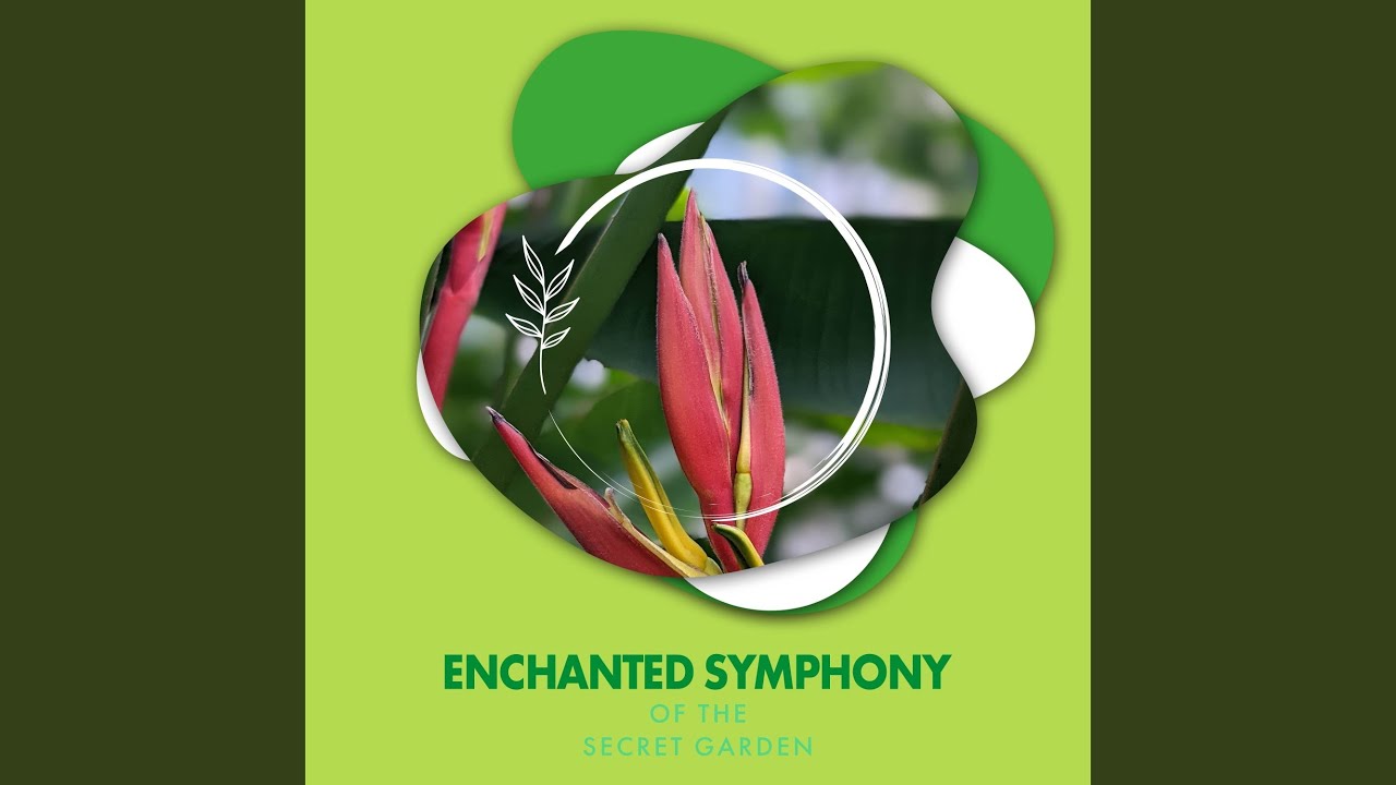 Passing Currents - YouTube Music