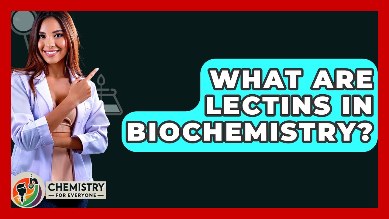 What Are Lectins In Biochemistry? - Chemistry For Everyone - YouTube