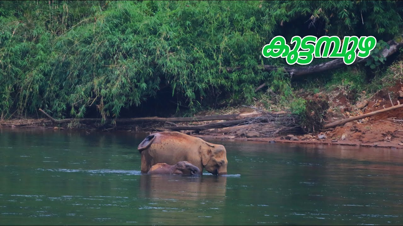 KUTTAMPUZHA - YouTube