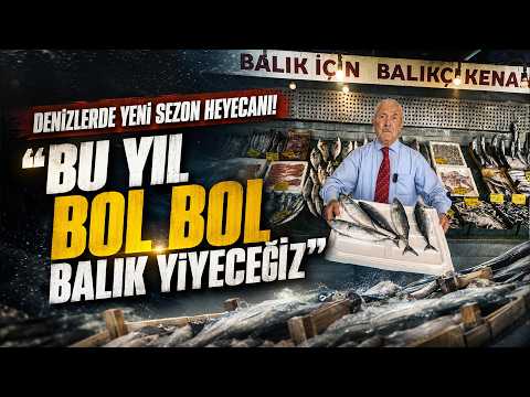 Yeni Balık Sezonu Öncesi Sevindiren Gelişme: Palamut Ve Hamsi Bollaştı