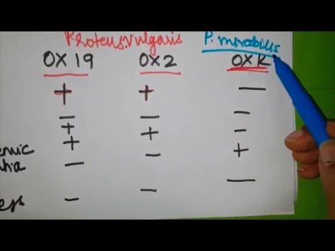 Rickettsia simplified - Part 3 ( Pathogenesis and Weil - Felix test ...