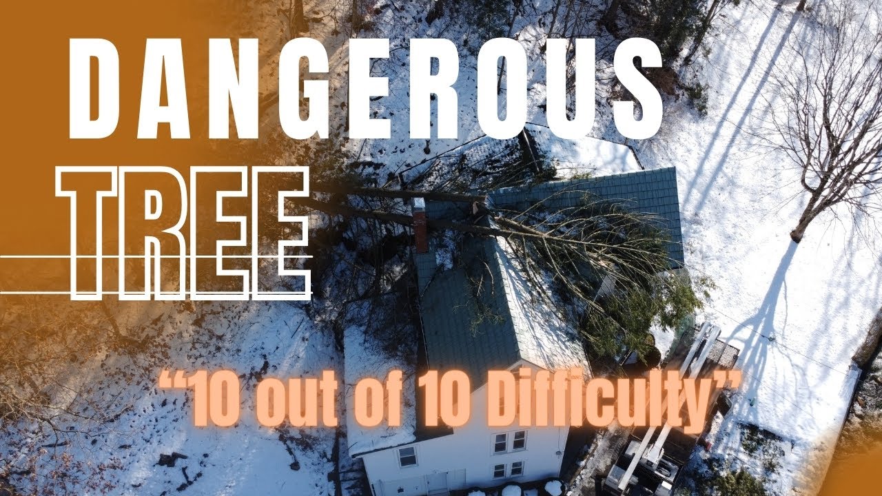 Difficult Tree Removal. Massive Tree Crushes Roof. Pennsylvania Tree ...