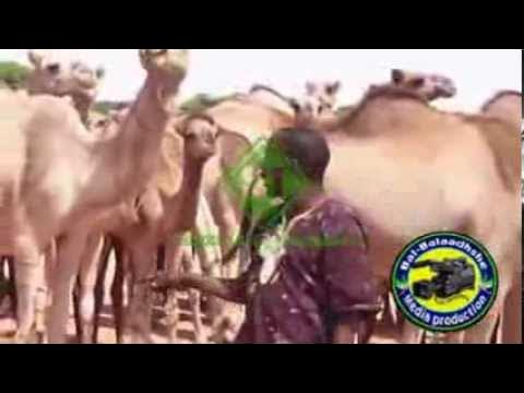 SOORAAN IYO JAWAAN MAJAAJILO CUSUB 2020 HD - YouTube