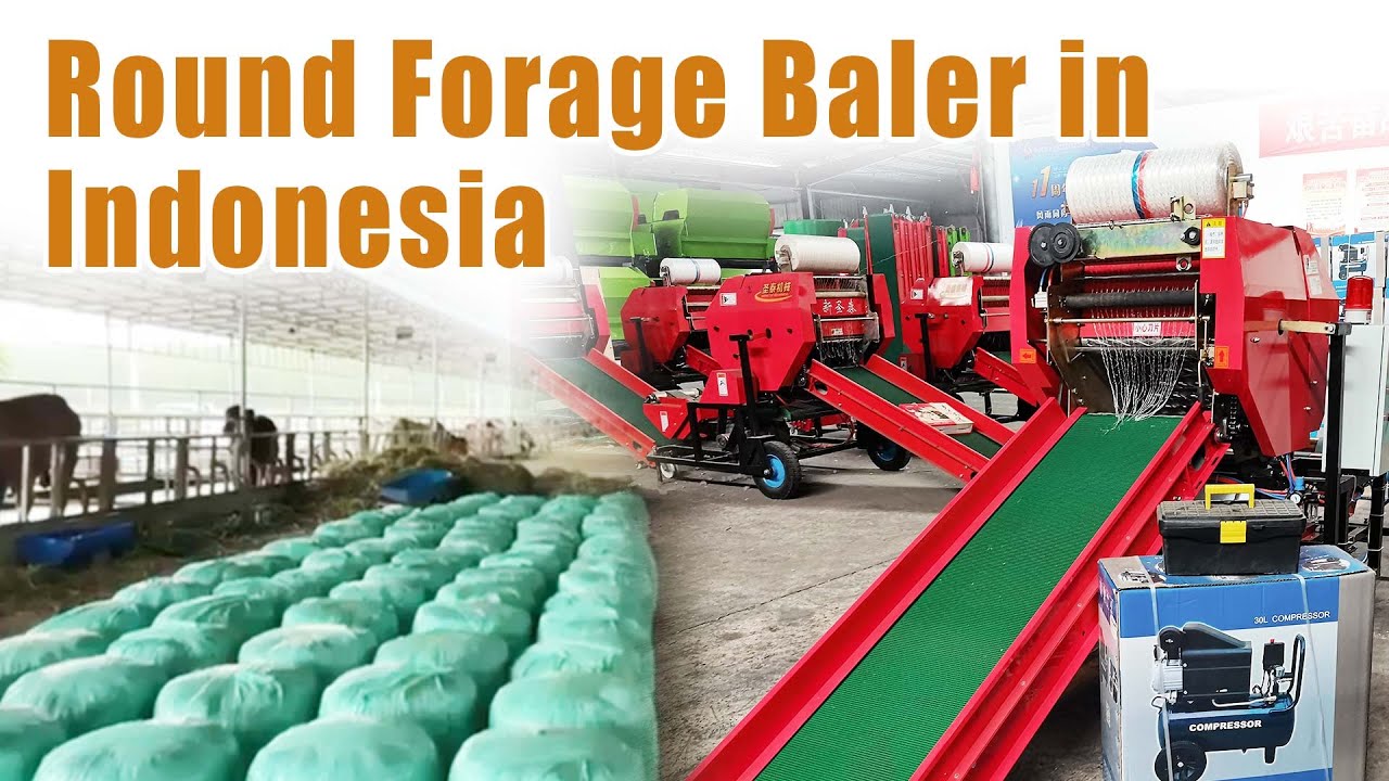 Silage Baling Plant in Indonesia with Taizy's Automatic Baler Machine ...